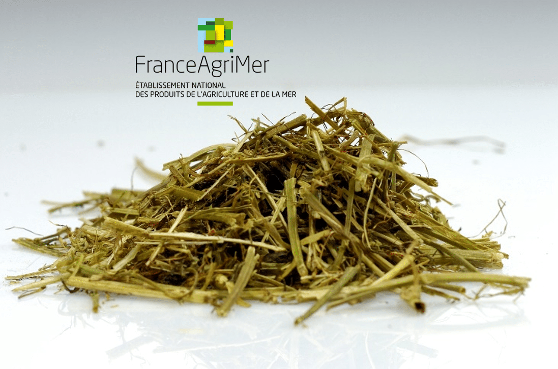 EFFECT OF ALFALFA ON DIGESTIVE HEALTH IN MONOGASTRIC ANIMALS | Lab To Field